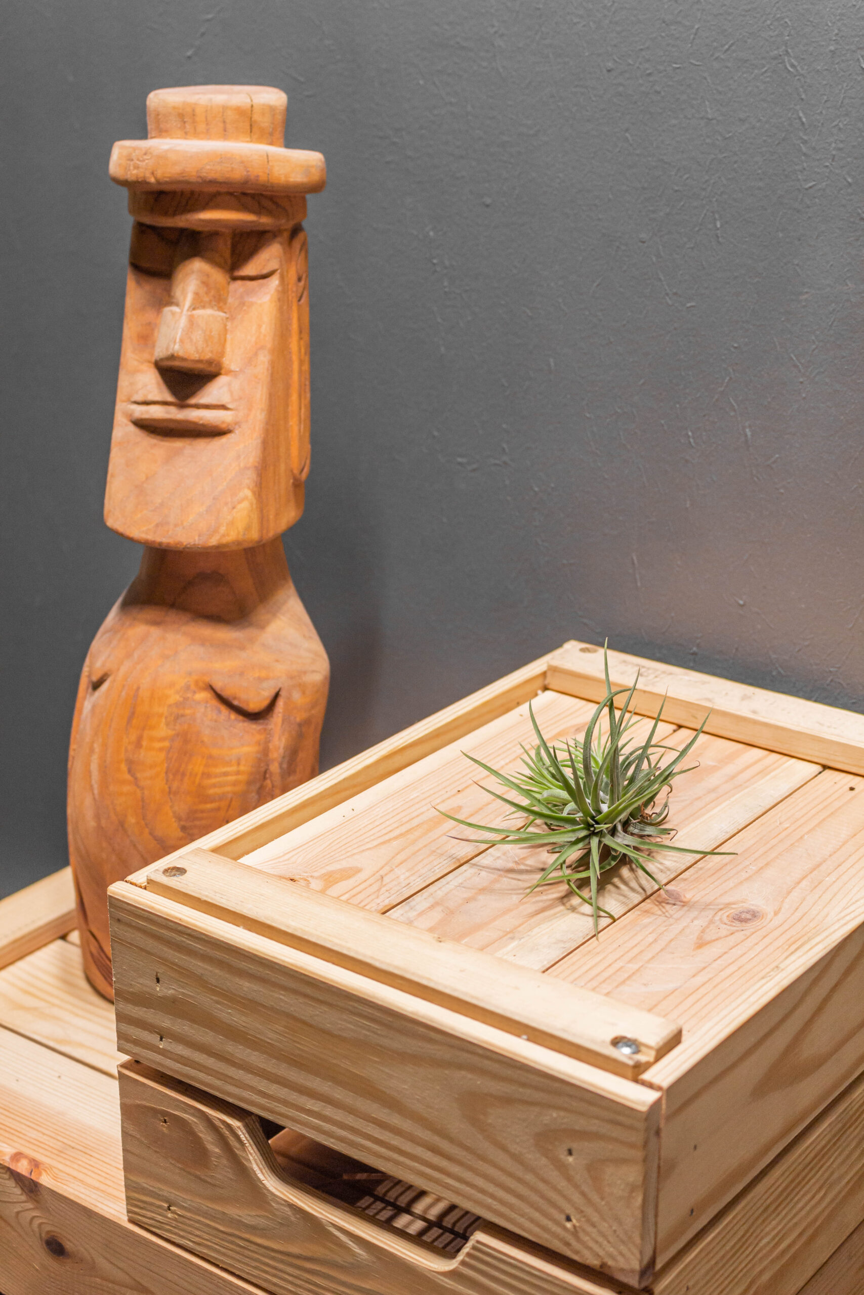 Tillandsia Green - Moai Jungle - Több, mint gondolnád